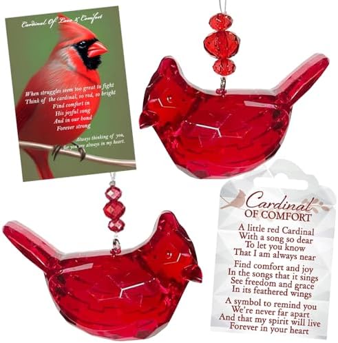 Amazon.com: Cardinal of Love and Comfort Visitor from Heaven Sympathy ...