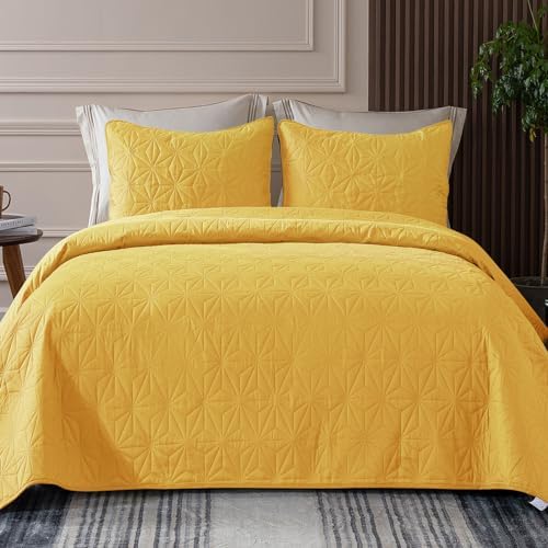 Amazon.com: Exclusivo Mezcla Queen Quilt Bedding Set, Lightweight ...