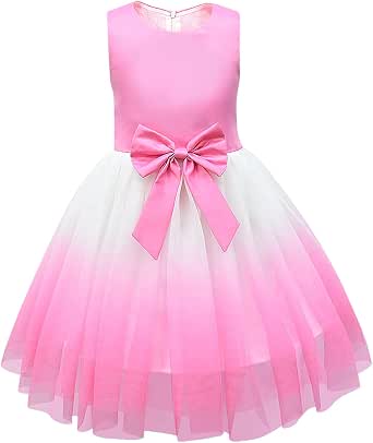 Amazon.com: ADAMINE Princess Costume Party Dress for Girls Cartoon ...