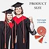Amazon.com: ONUPGO Graduation Cord, Graduation Honor Cords Rayon ...