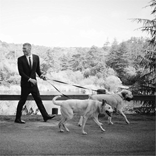 Amazon.com: Lethal Tuxedo : Hans David Rearick: Digital Music