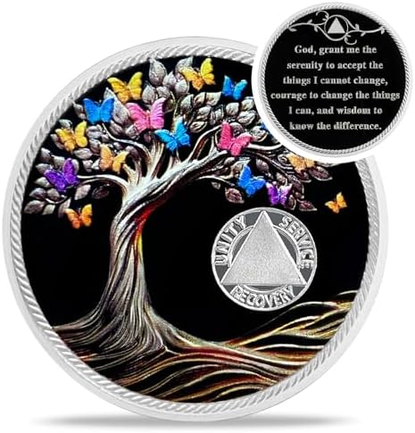 Amazon.com: One Day at a Time Sobriety Coin - Recovery Triangle Forest ...