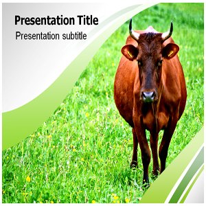 Cow Powerpoint Templates - Cow Powerpoint (PPT) Backgrounds | WantItAll