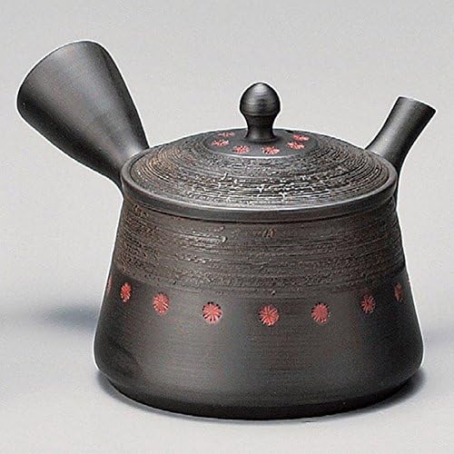 Japanese ceramic Tokoname ware. Kyusu teapot. 200cc M-437 : Amazon.ca: Home