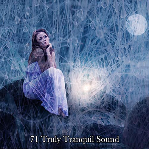 Spiele 71 Truly Tranquil Sound von Sleep Before Midnight auf Amazon ...