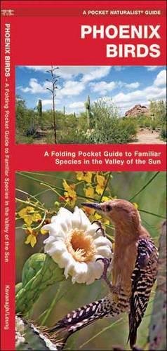 Phoenix Birds: A Folding Pocket Guide to Familiar Species in the Valley ...