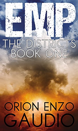 Amazon.com: Survive the Fall: A Post-Apocalyptic EMP Saga Filled With ...