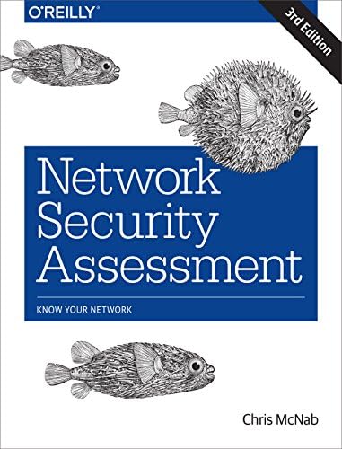 Network Security Assessment: Know Your Network: 9781491910955: Computer ...