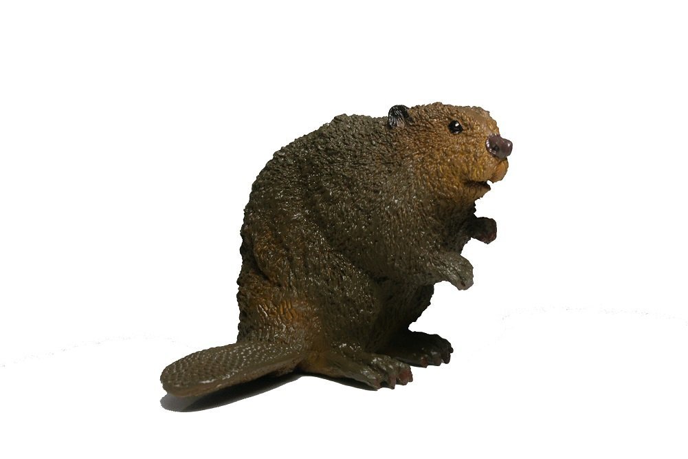 3 Inch Beaver Realistic Rubber Replica By Mamejo Nature | Desertcart INDIA