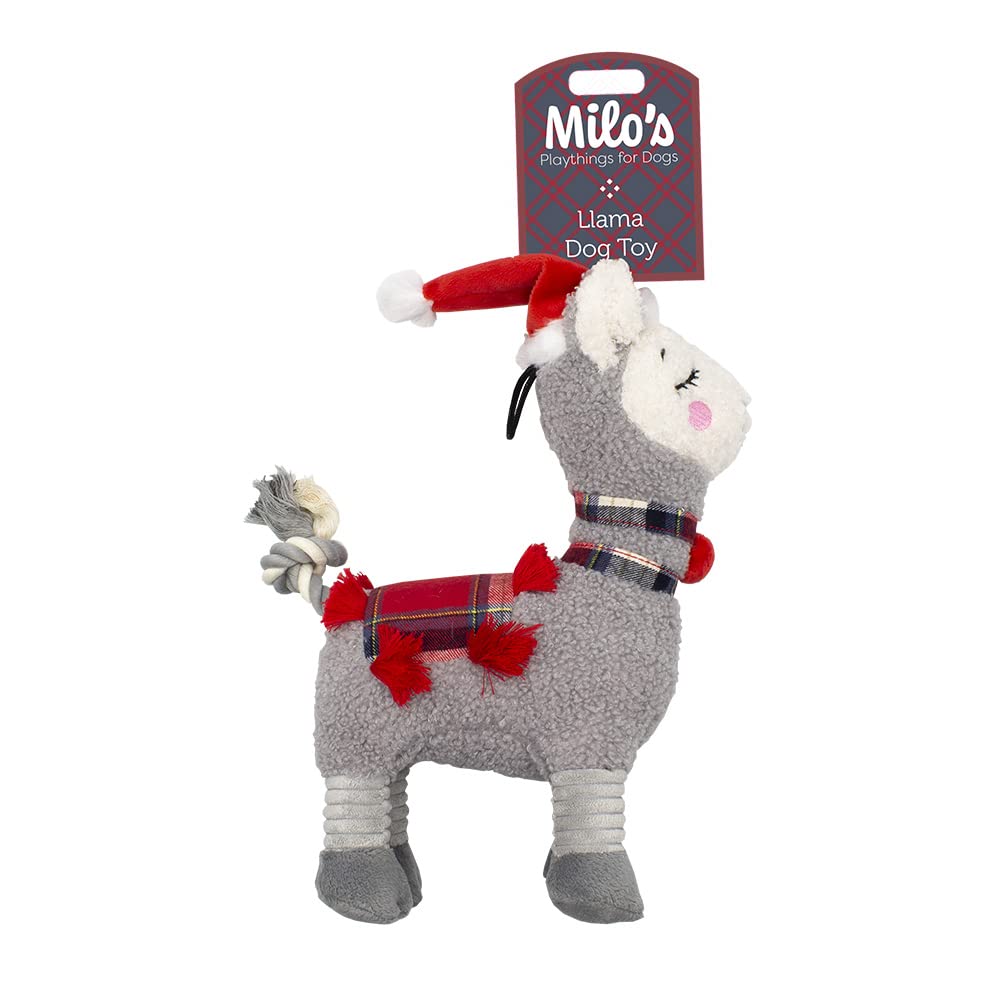 Milos Llama Premium Dog Toy : Amazon.co.uk: Pet Supplies