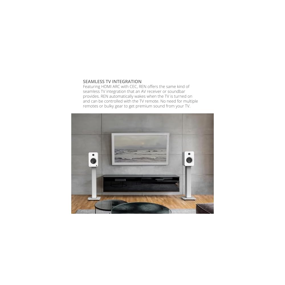 Kanto REN 200W Powered Speaker System with HDMI ARC Australia | Ubuy
