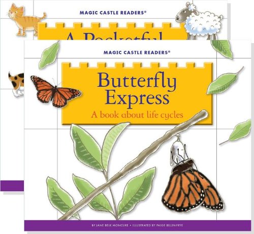 Magic Castle Readers: Science: 9781623236519: Books - Amazon.ca