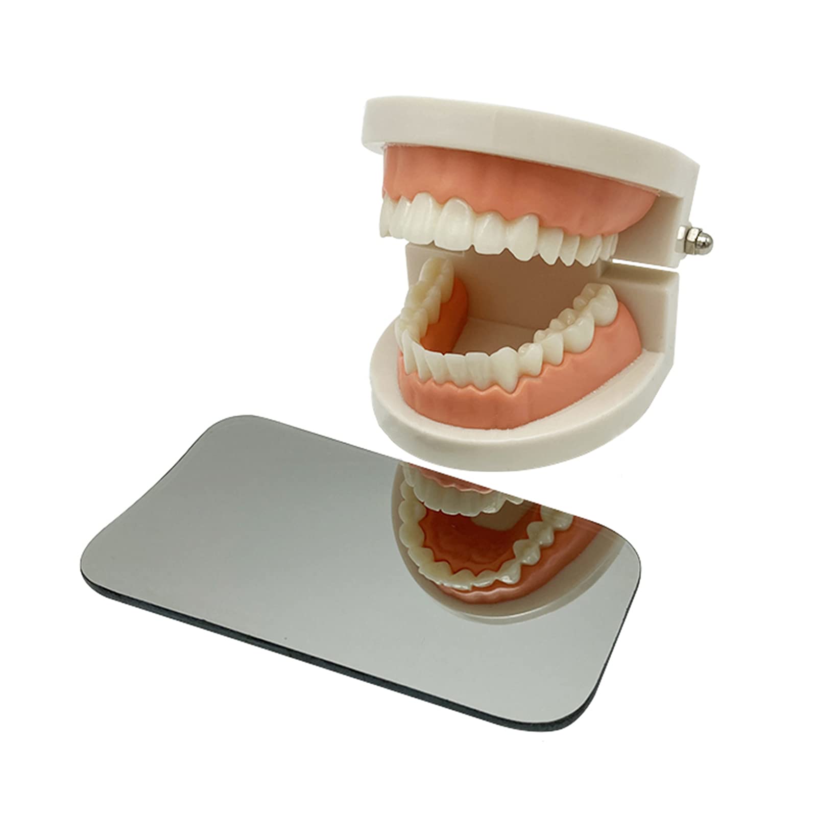 Buy DXFK.AM 5pcs Dental Intraoral Mirror Photography Mirrors Intraoral ...
