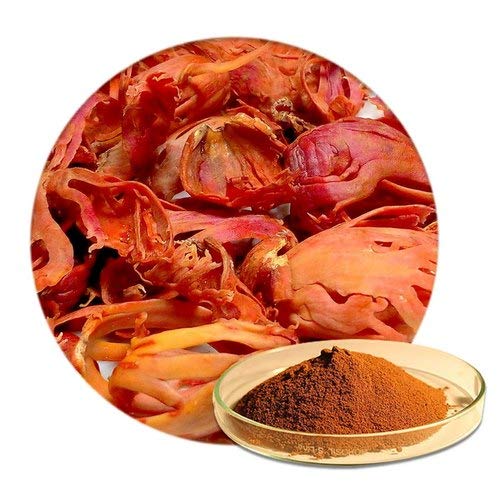 Ancy Javitri/Mace Powder -1kg (4*250g) : Amazon.in: Grocery & Gourmet Foods