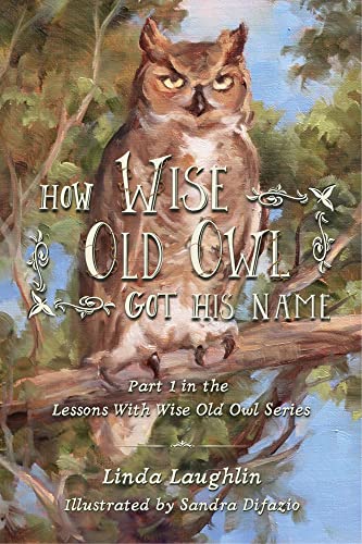How Wise Old Owl Got His Name (Lessons With Wise Old Owl Book 1 ...