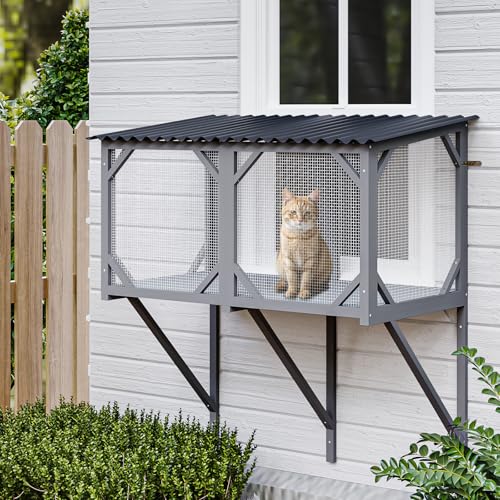Cat Window Box – The 15 best products compared - Wild Explained