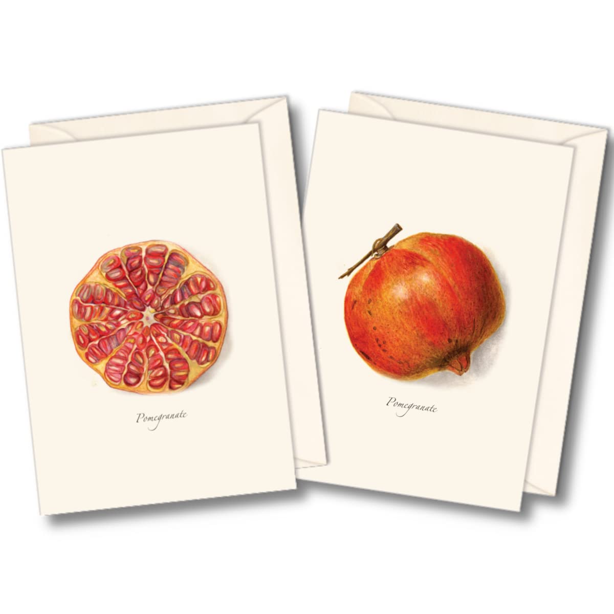 Snapklik.com : Earth Sky + Water - Pomegranate Assortment Notecard Set ...