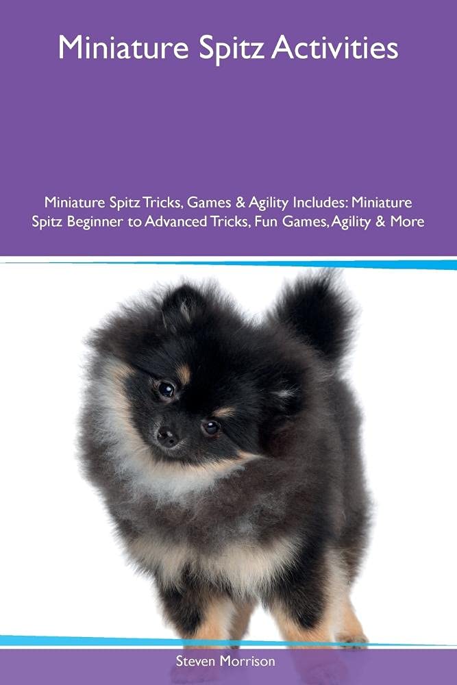 Miniature Spitz Activities Miniature Spitz Tricks, Games & Agility ...