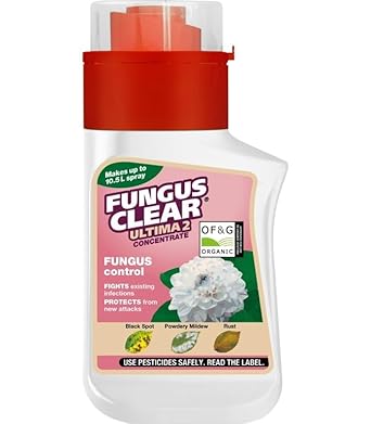 FungusClear Ultimate Concentrate 210ml – Systemic Fungus Control for ...