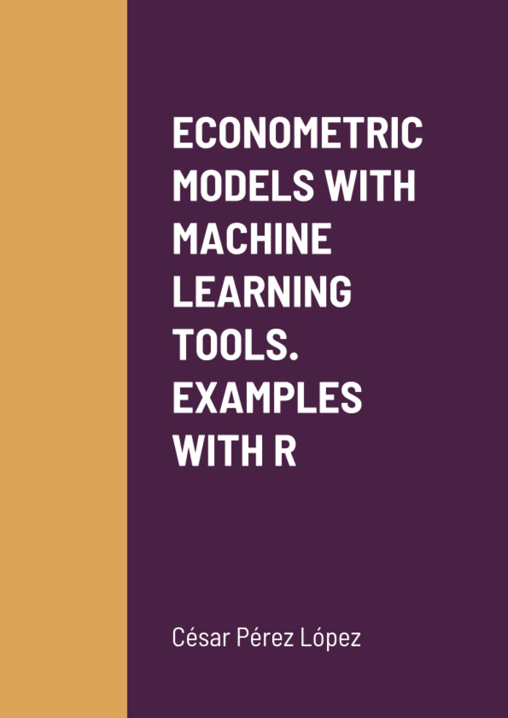 ECONOMETRIC MODELS WITH MACHINE LEARNING TOOLS. EXAMPLES WITH R: Perez: 9781447820642: Amazon ...