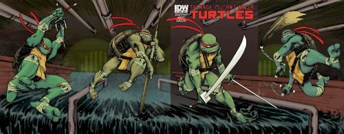 Amazon.com: Teenage Mutant Ninja Turtles #1 the Dan Duncan RI B Edition ...