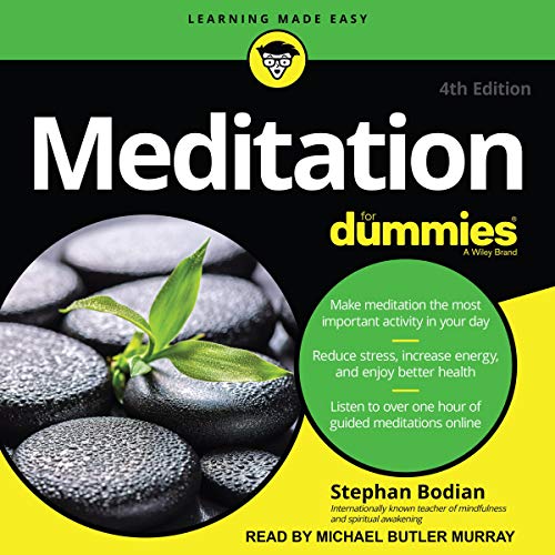 Amazon.com: Meditation for Dummies (Audible Audio Edition): Stephan ...