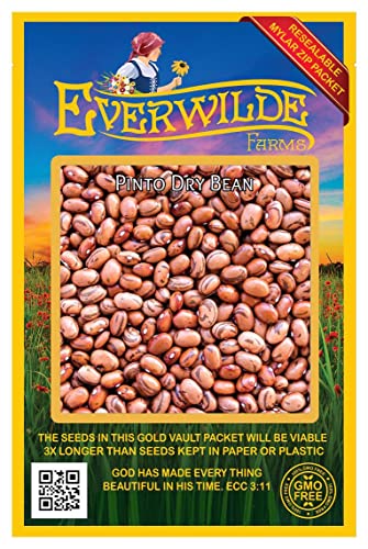 Best Pinto Bean Seeds for Planting and Growing a Bountiful Harvest ...