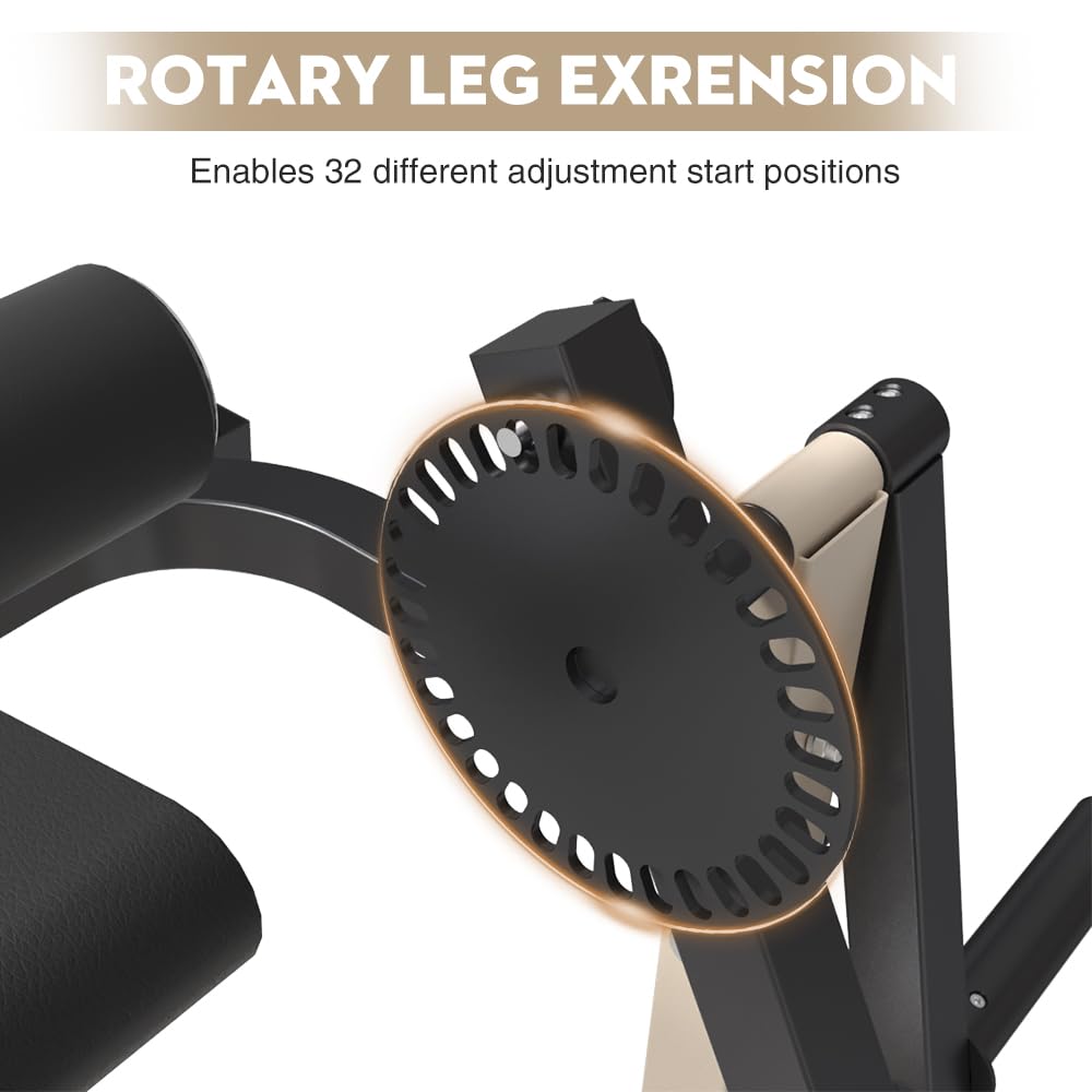 Snapklik.com : SPART Leg Extension And Curl Machine, Lower Body Special ...