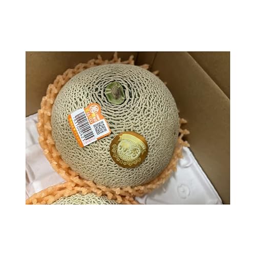 JA茨城旭村 クインシーメロンメロン 特秀 3L～4Lサイズ（3玉～4玉） 風袋込約5kg 贈答用 メロン/果物/フルーツ/ギフト/贈答用/プレゼント/お中元/内祝い/御祝の評判・口コミ ...