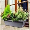 Amazon.com : Tcevily 6 Pcs 24 inch Window Box Planter, Large ...