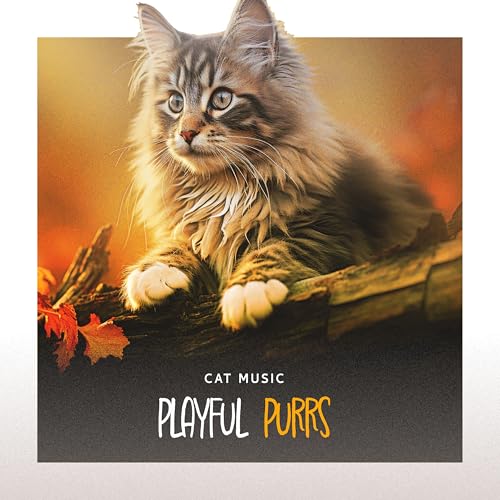 Amazon Music - Cat MusicのPlayful Purrs - Amazon.co.jp