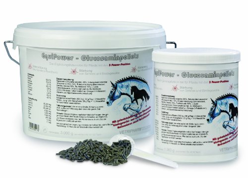 Equipower – Die 16 besten Produkte im Vergleich - Haustierratgeber Ratgeber