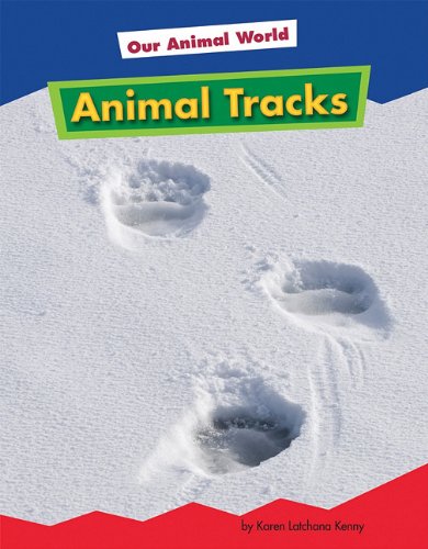 Animal Tracks (Amicus Readers: Our Animal World, Level 1): Karen ...