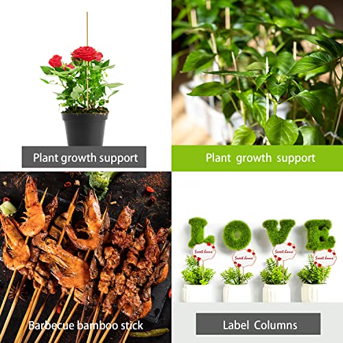 Snapklik.com : Plant Sticks For Garden Stakes,Bamboo Wood Stciks ...