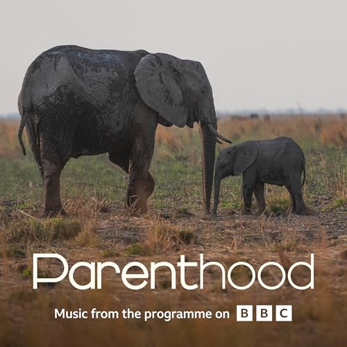 Play Go Steady (From BBC's Parenthood) by Sam Ryder on Amazon Music