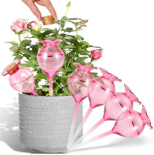 Amazon.com : Aqua Globes AG011706 Glass Plant Watering Bulbs, 2-Pack ...