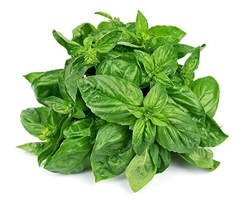 Fresh Finds Basale Leaf, 250g : Amazon.in: Grocery & Gourmet Foods