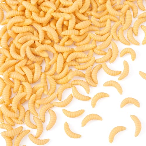 Maggot Baits – The 16 best products compared - Outdoors Magazine