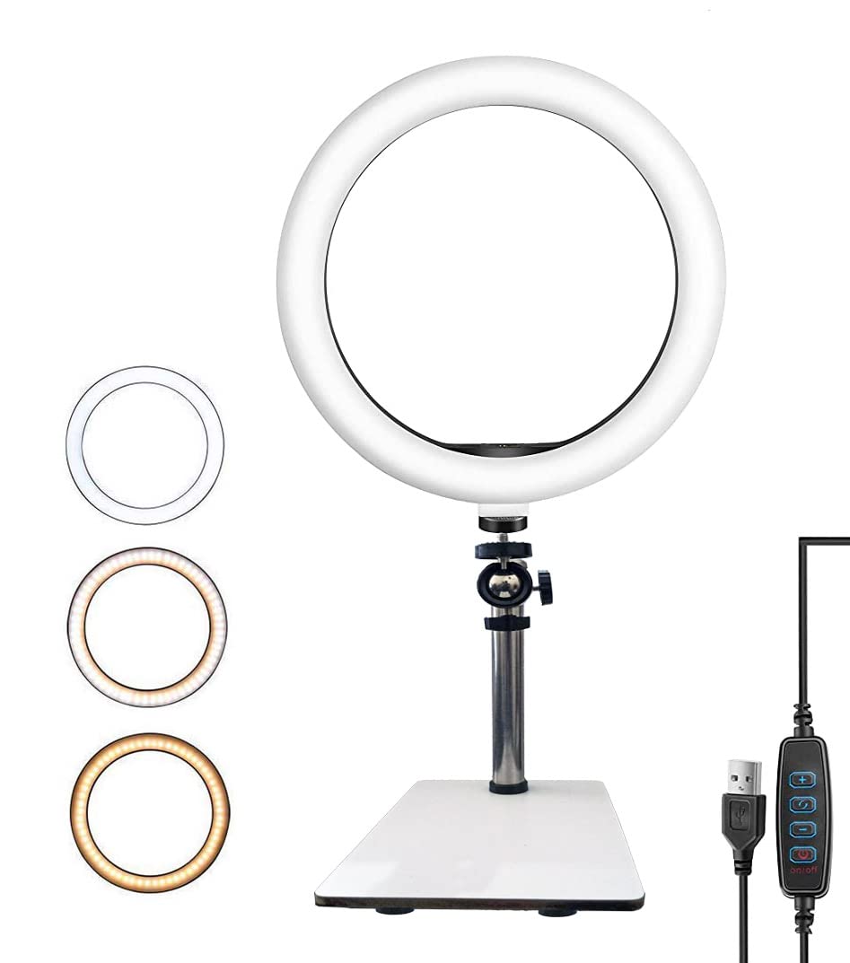 Buy 10 Inch Ring Light with 360 Rotation Lighting Setup Dimmable ...