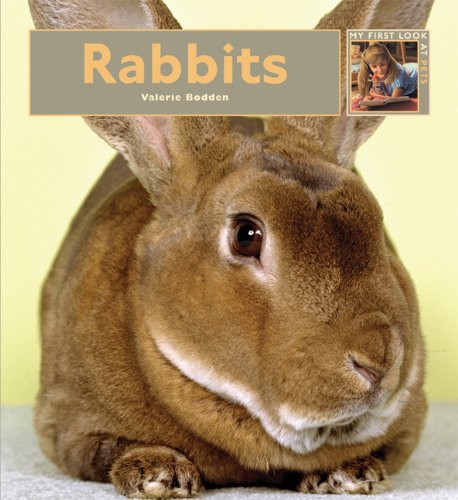 Amazon | My First Look At: Rabbits | Bodden, Valerie | Rabbits