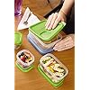 Amazon.com: Rubbermaid LunchBlox Sandwich Kit, Green 1806231,Green ...