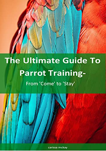 The Ultimate Guide To Parrot Training: From 'Come' to 'Stay ...