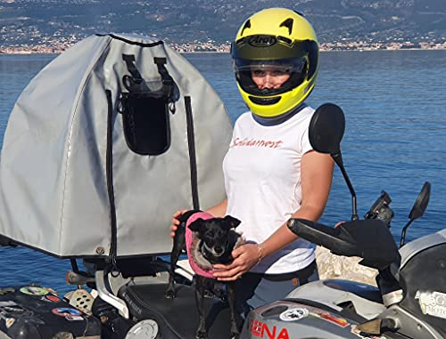 The 7 Best & Safest Motorcycle Dog Carriers of 2022 | FluentWoof | The ...