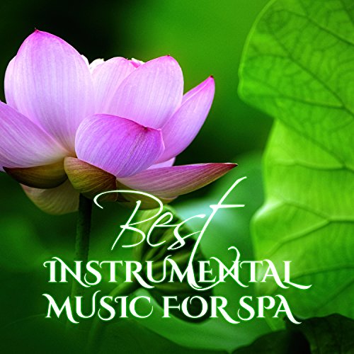 Amazon.com: Best Instrumental Music for Spa : Beauty Spa Music ...