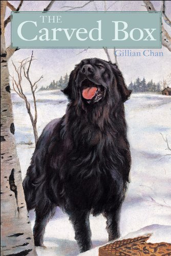 Amazon.com: The Carved Box: 9781550748956: Chan, Gillian: Books
