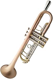 Amazon.com: Trumpets for Beginner Trumpet Instrument B Flat Phosphor ...