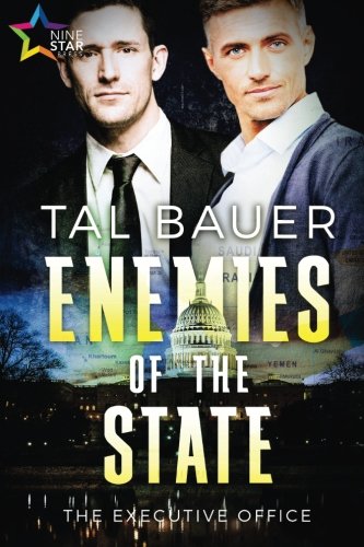 Enemies of the State: Tal Bauer: 9781911153795: Amazon.com: Books