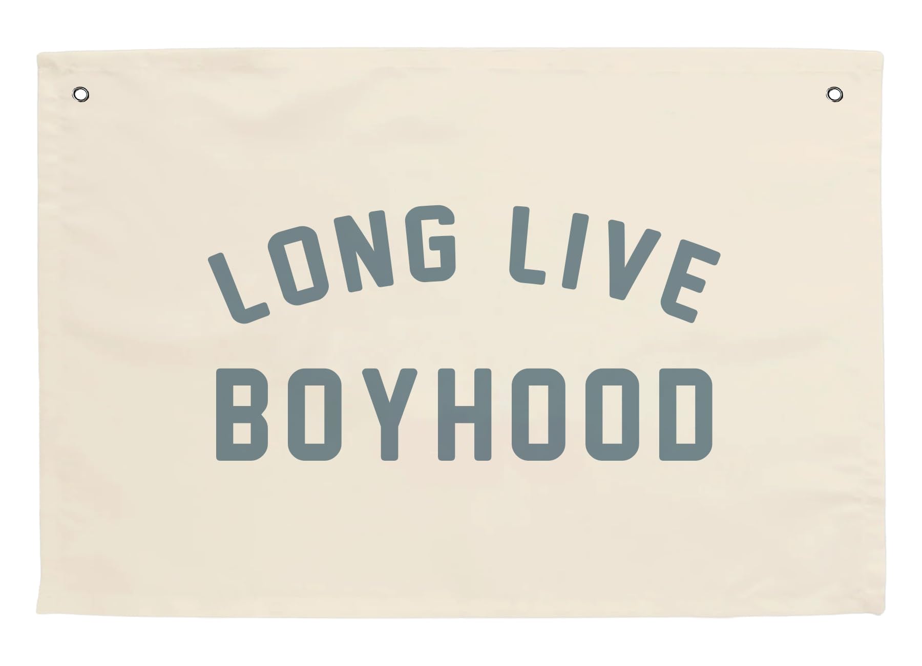 Amazon.com: MINI ZOZI Long Live Boyhood Hanging Flag 20X30 Banners Blue ...