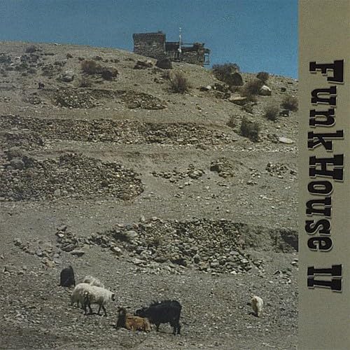 Funkhouse 2: Funkhouse: Amazon.in: Music}