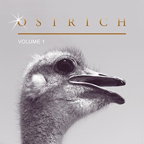 Amazon.com: Ostrich, Vol. 1 : Image Sounds: Digital Music